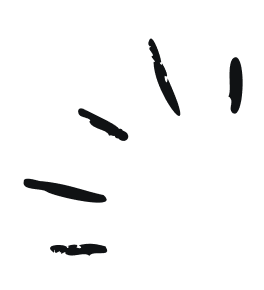 Roadmapping software | Atlassian